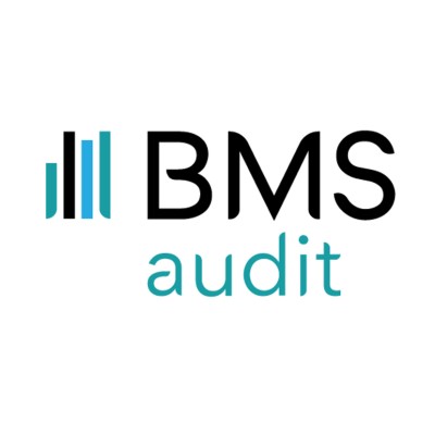 BMS Auditing - Company profile | ensun