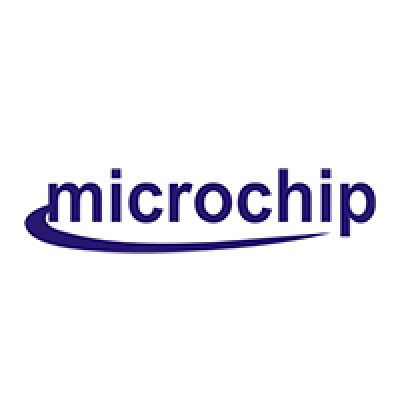Top 100 Microchip Companies in 2025 | ensun