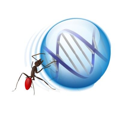 Top 8 Microfluidics Companies in Vietnam (2025) | ensun