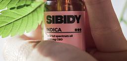 Top 7 Cannabidiol Companies in Slovakia (2026) | ensun