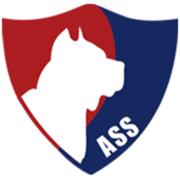 Top 16 Security Companies in Ghana (2025) | ensun