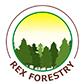 Top 10 Forestry Machinery Manufacturers in Nigeria (2026) | ensun