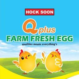 Top 22 Poultry Companies in Malaysia (2026) | ensun