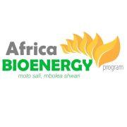 Top 32 Biogas Generator Manufacturers in Kenya (2025) | ensun