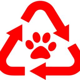 Top 26 Plastic Recycling Companies in Kenya (2026) | ensun