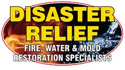 Top 100 Disaster Relief Companies in United States (2025) | ensun