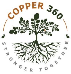 Top 100 Copper Mining Companies in South Africa (2026) | ensun