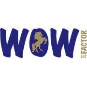 Top 61 Ceiling Tile Manufacturers in United Arab Emirates (2025) | ensun