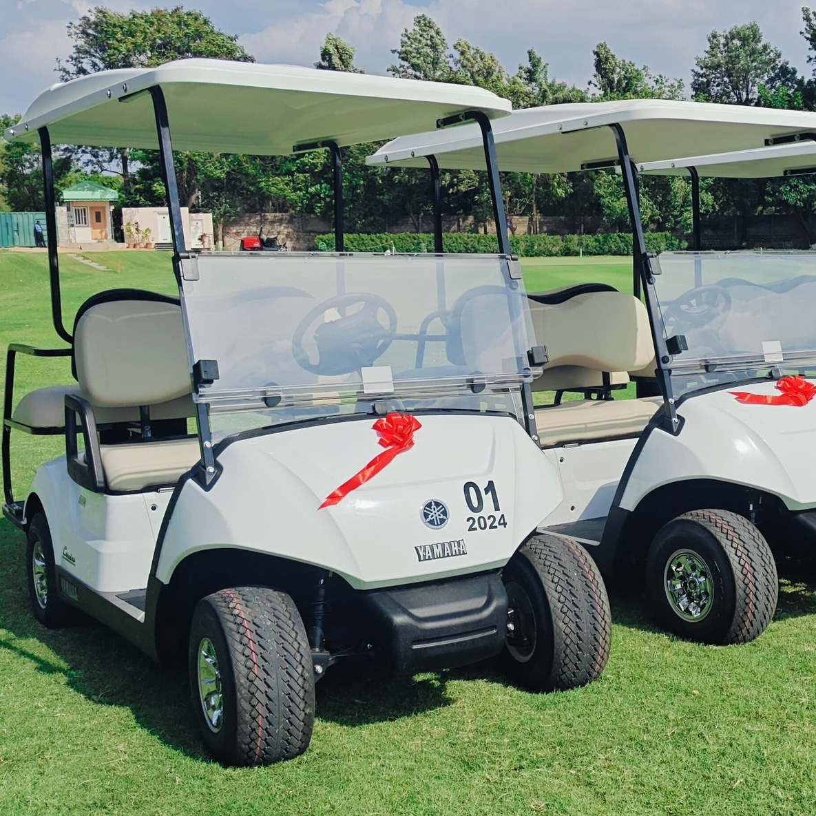 Top 100 Golf Cart Companies in India (2026) | ensun