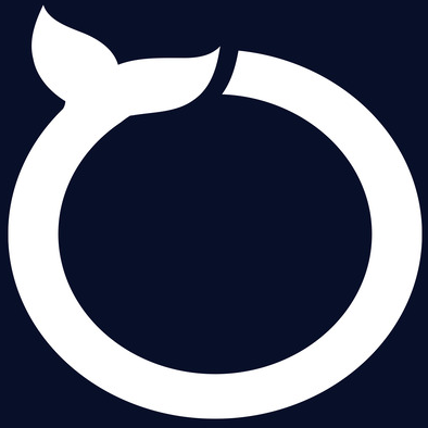 Software Orca - Company profile | ensun