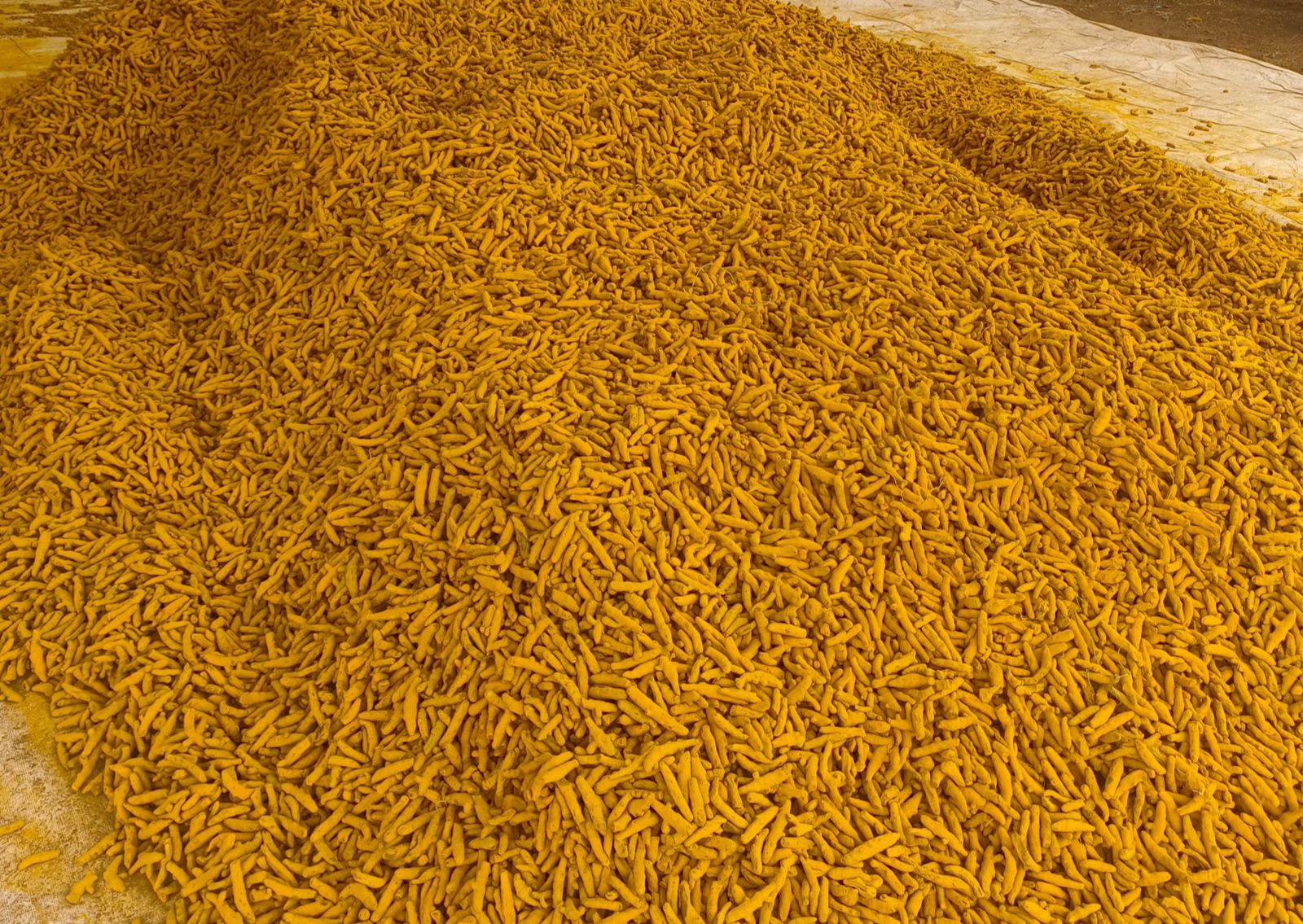 Top 100 Spice Companies in United States (2025) | ensun