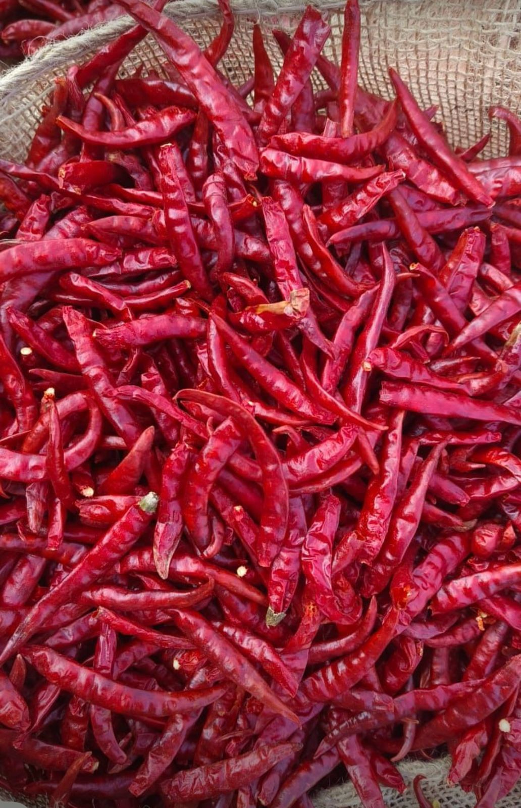 Teja Red Chili Whole - Use case | ensun