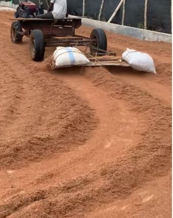 Cocopeat Powder - Use case | ensun